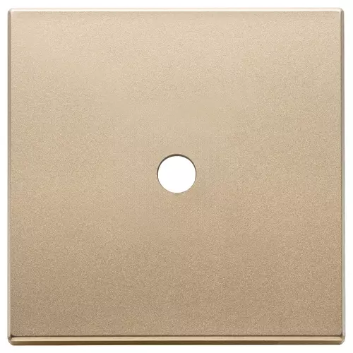 Plate 2Mx1 Tondo satin gold - 22682.RN.1.88